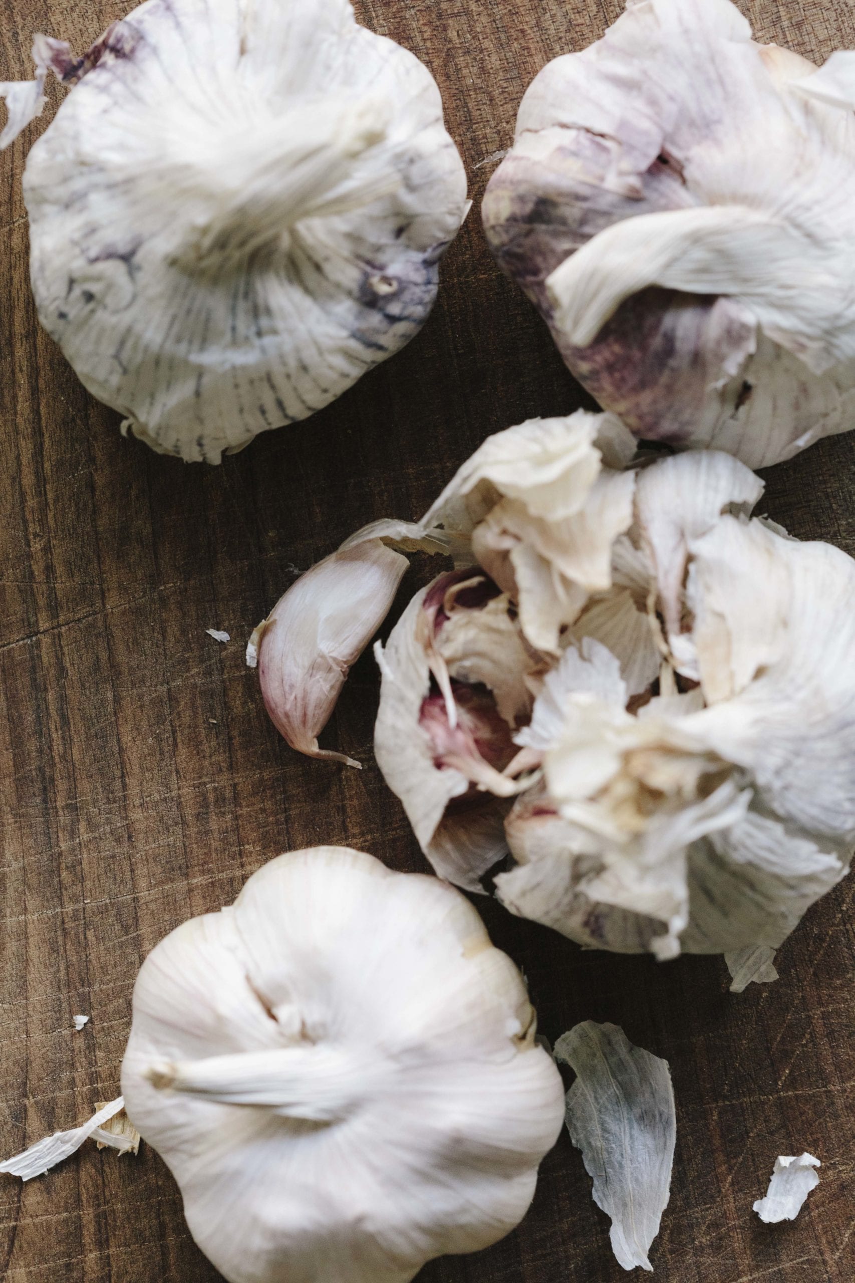 Italian Restaurant in London - Angela Hartnett's Cafe Murano